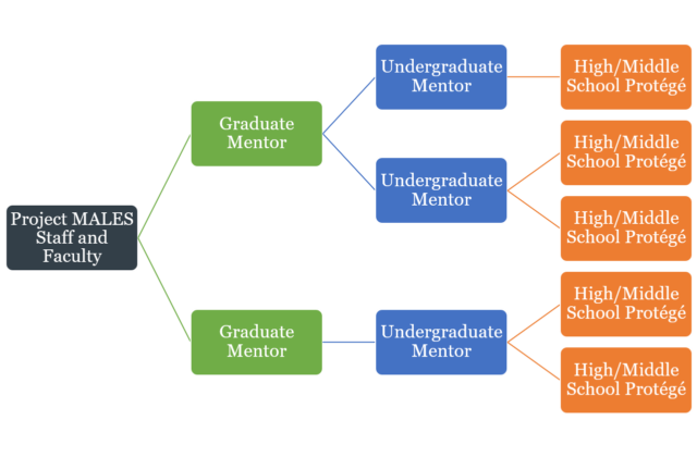 Student Mentoring Program